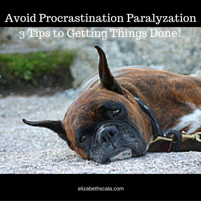 Beat Procrastination with 3 Simple Steps | Elizabeth Scala | Holistic ...